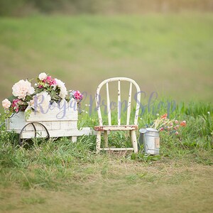 Spring Digital Backdrop, Easter Backdrop, Spring Backdrop, Digital ...