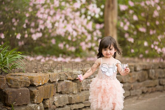 Spring Digital Backdrop Easter Backdrop Spring Backdrop - Etsy