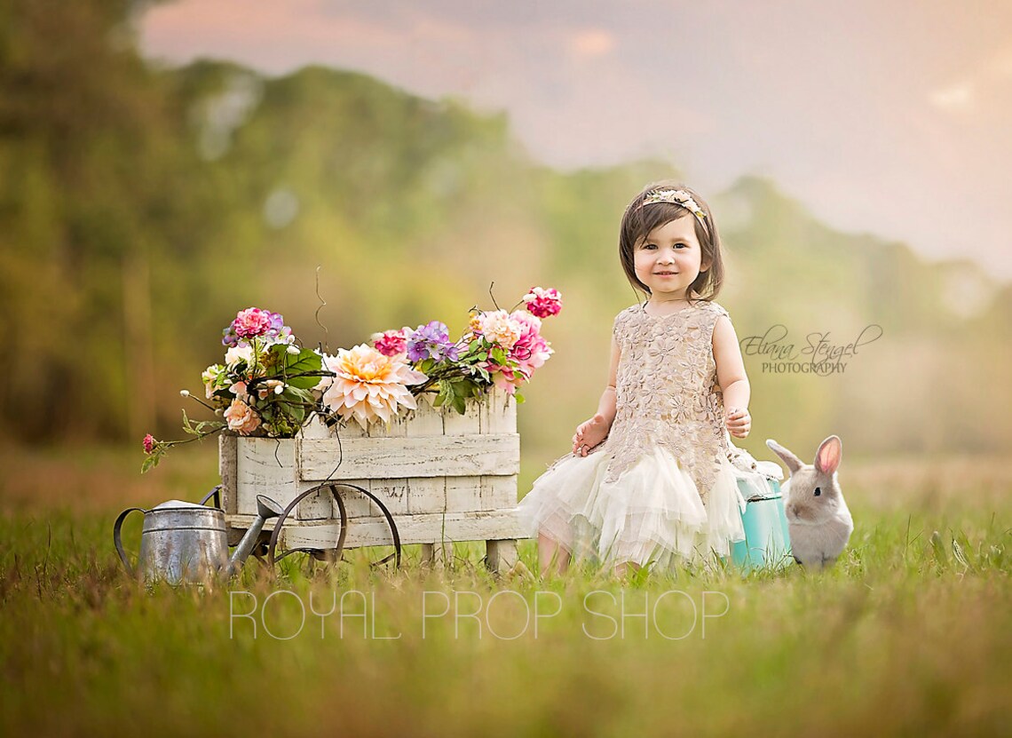 Spring Digital Backdrop Easter Backdrop Spring Backdrop | Etsy