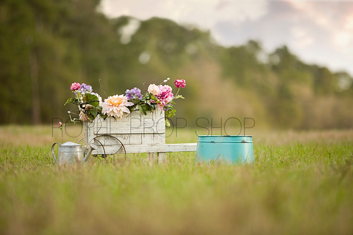 Spring Digital Backdrop Easter Backdrop Spring Backdrop | Etsy