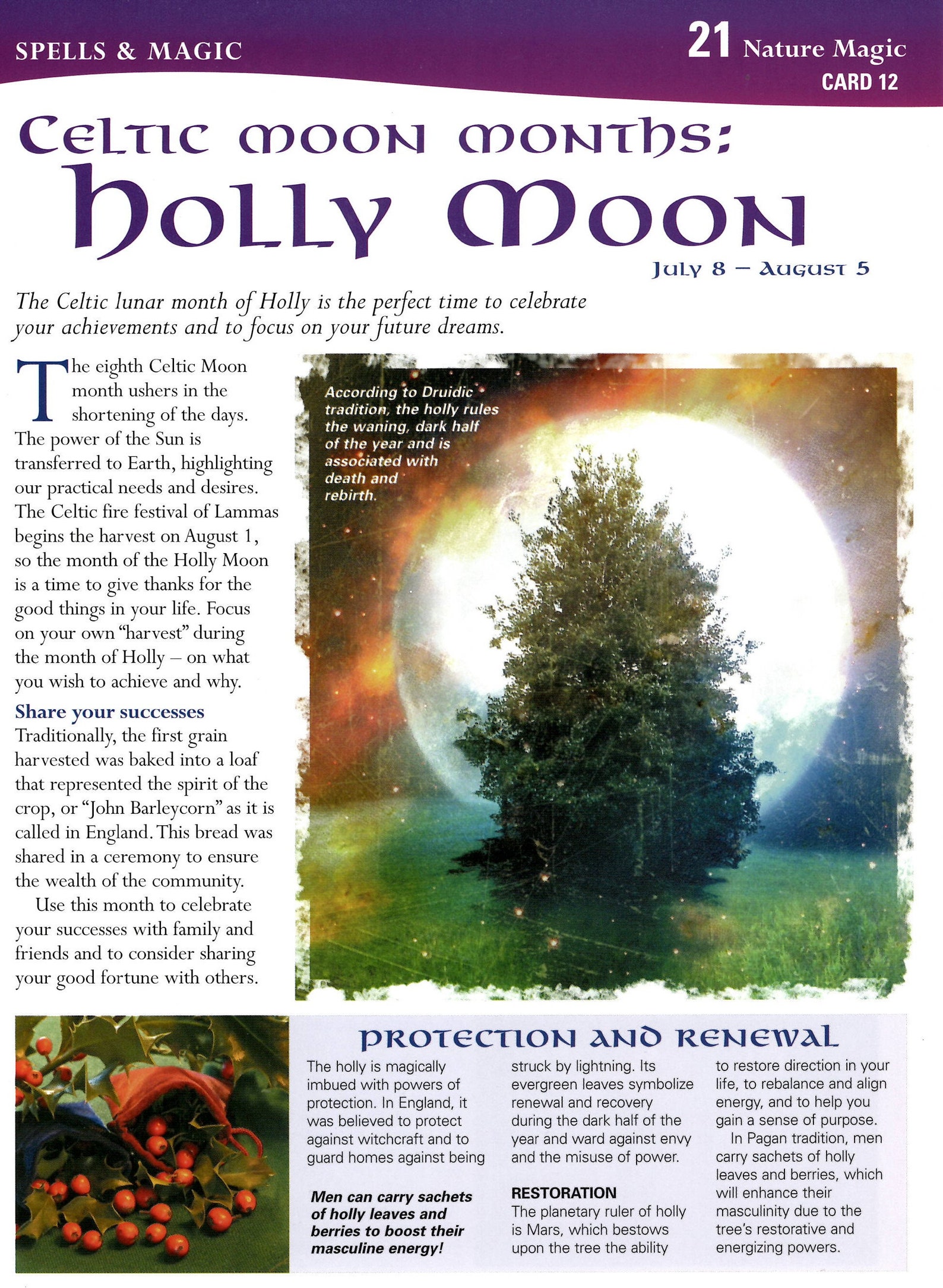 Celtic Holly Moon Book of Shadows Pages, Grimoire Pages, Magick Study ...