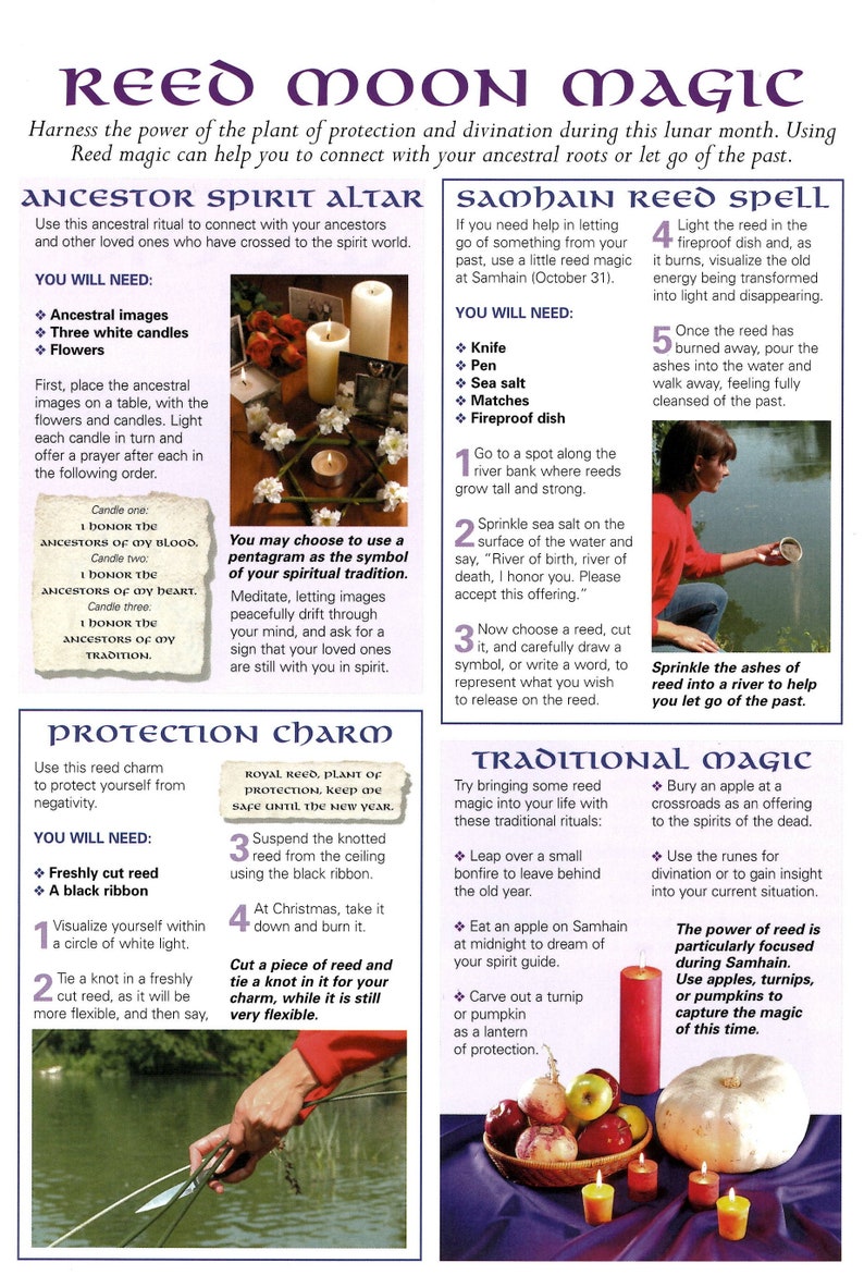 Celtic Reed Moon Book of Shadows Pages, Grimoire Pages, Magick Study ...