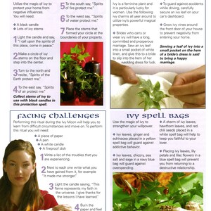 Celtic Ivy Moon Book of Shadows Pages, Grimoire Pages, Magick Study ...