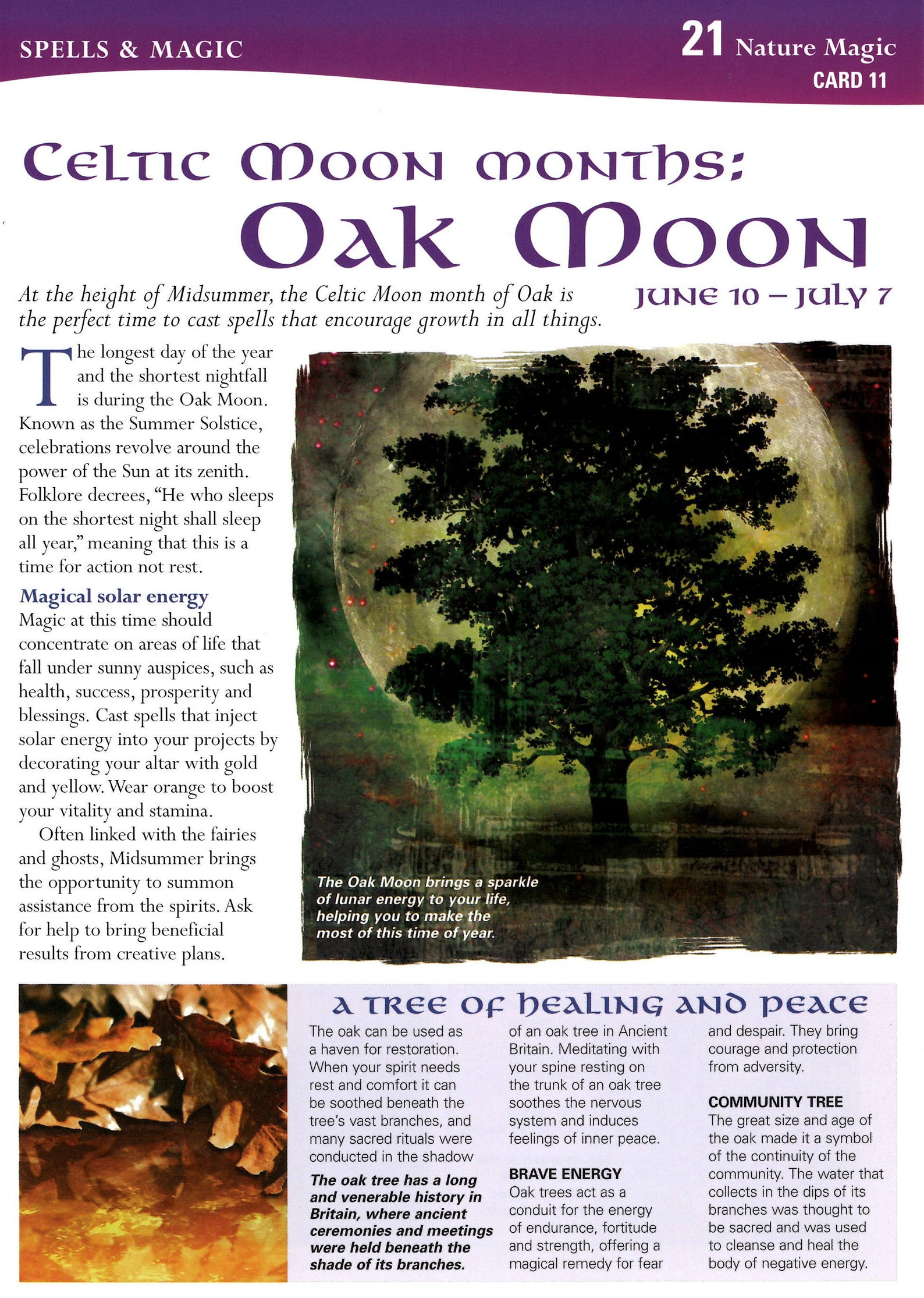 Celtic Oak Moon Book of Shadows Pages, Grimoire Pages, Magick Study ...