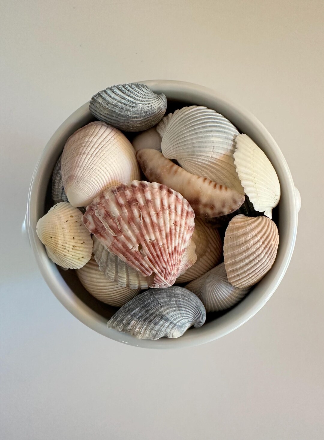 Vintage Apilco Lion-head Dish With Seashells | Coastal Decor - Etsy