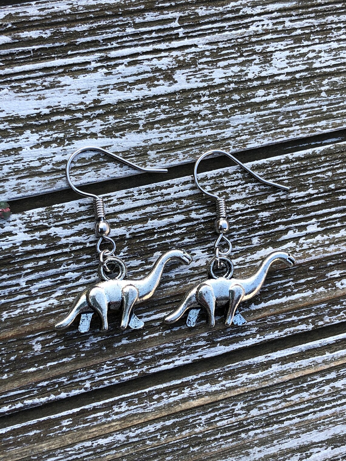 Dinosaur Earrings/cute Dino Earrings/dino Earrings/dinosaur | Etsy
