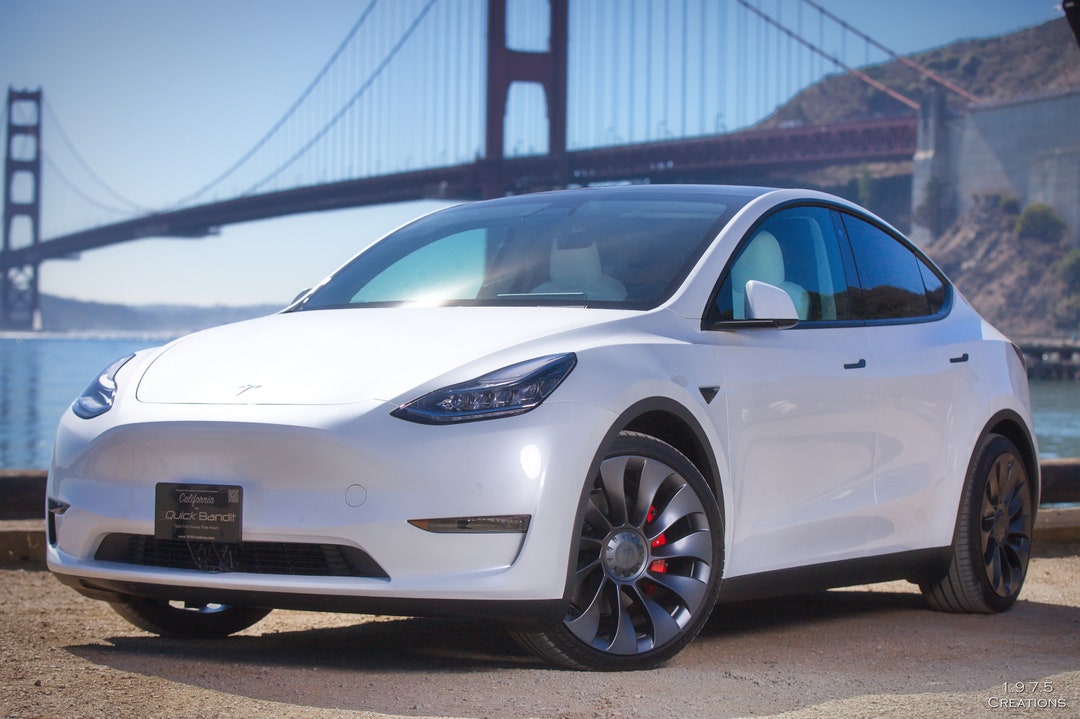 Quick Bandit - Model Y License Plate Mount - Etsy