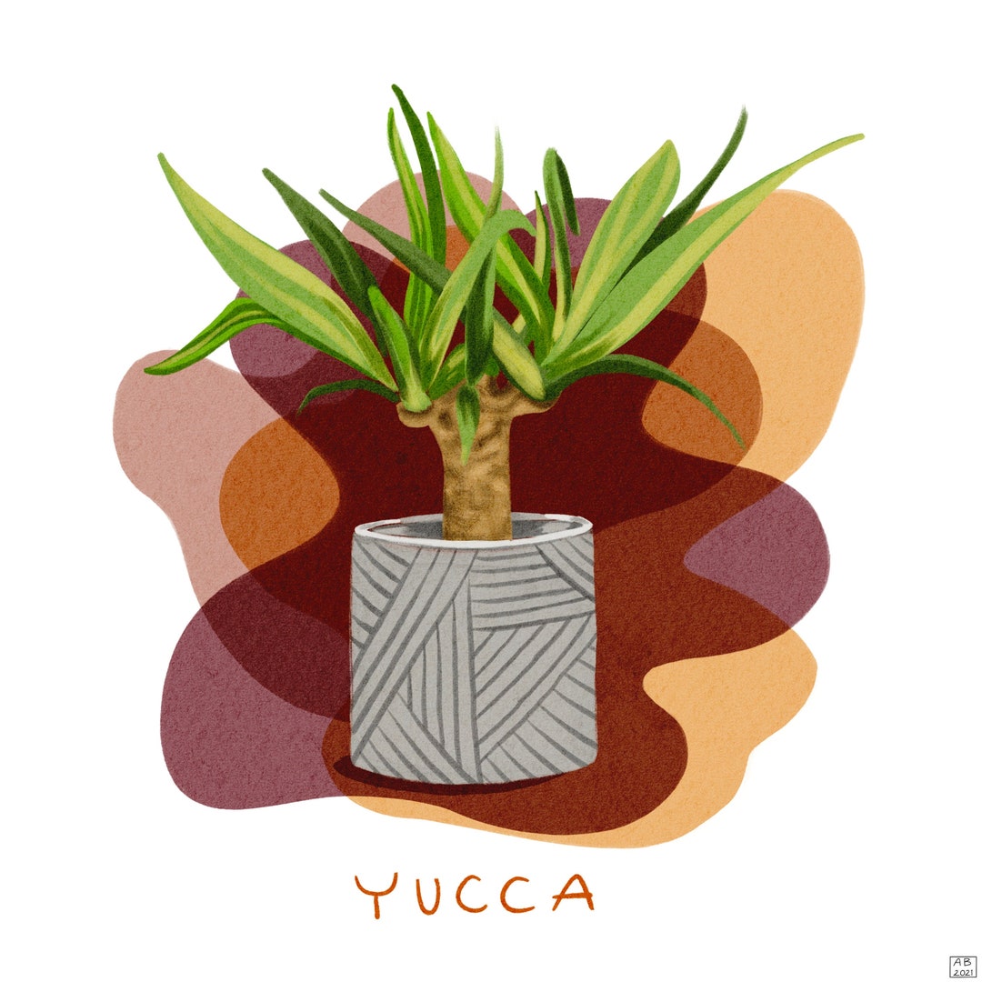 DIGITAL DOWNLOAD, Yucca Digital Art Print, Plant Lover Gift ...