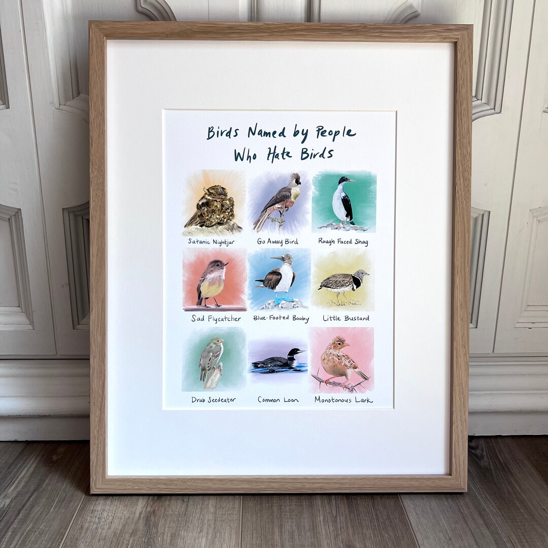 Birds Named by People Who Hate Birds Art Print, Print From Original ...