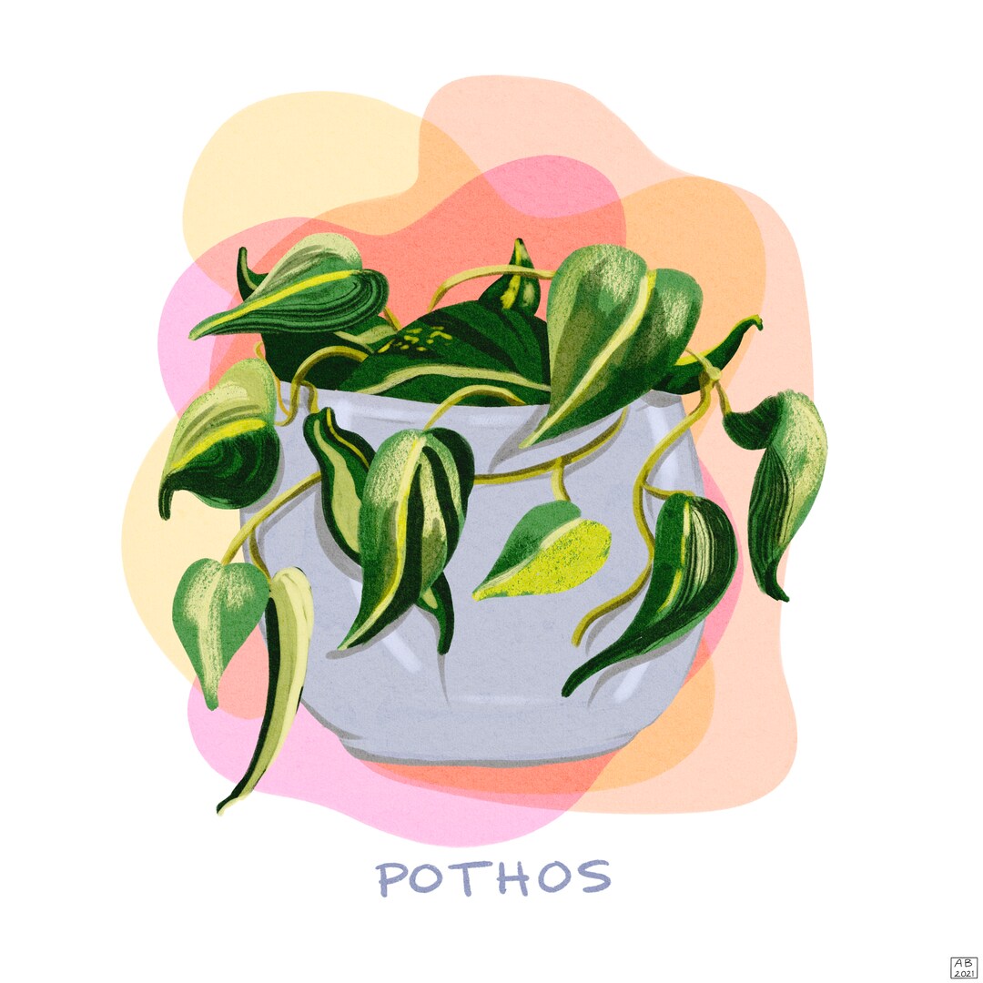 DIGITAL DOWNLOAD, Pothos Digital Art Print, Plant Lover Gift ...