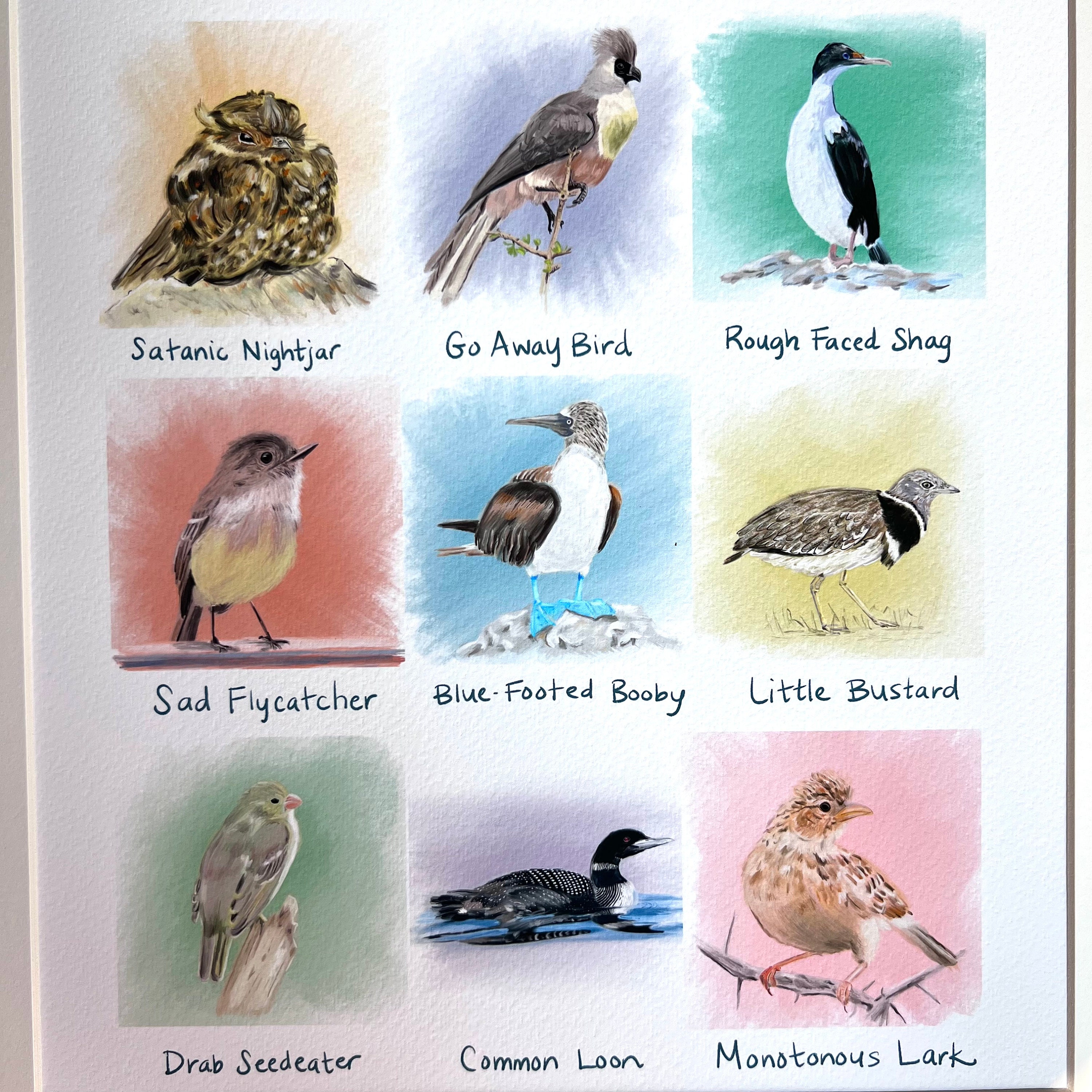 Birds Named by People Who Hate Birds Art Print, Print From Original ...