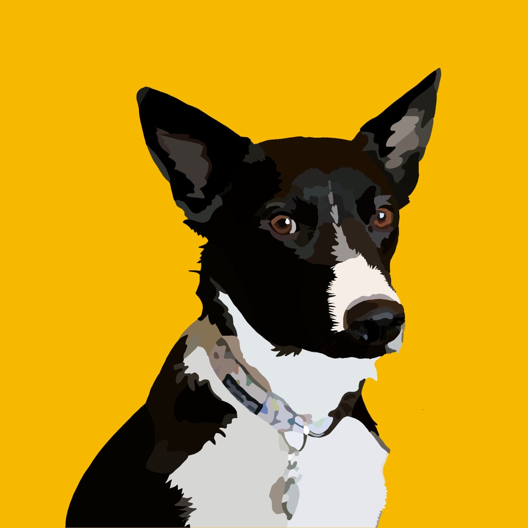 Custom Hand-drawn Pet Illustration (one Animal) - Etsy