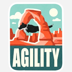 Dog Sport Vinyl Stickers | National Park-themed (dock Diving, Disc ...