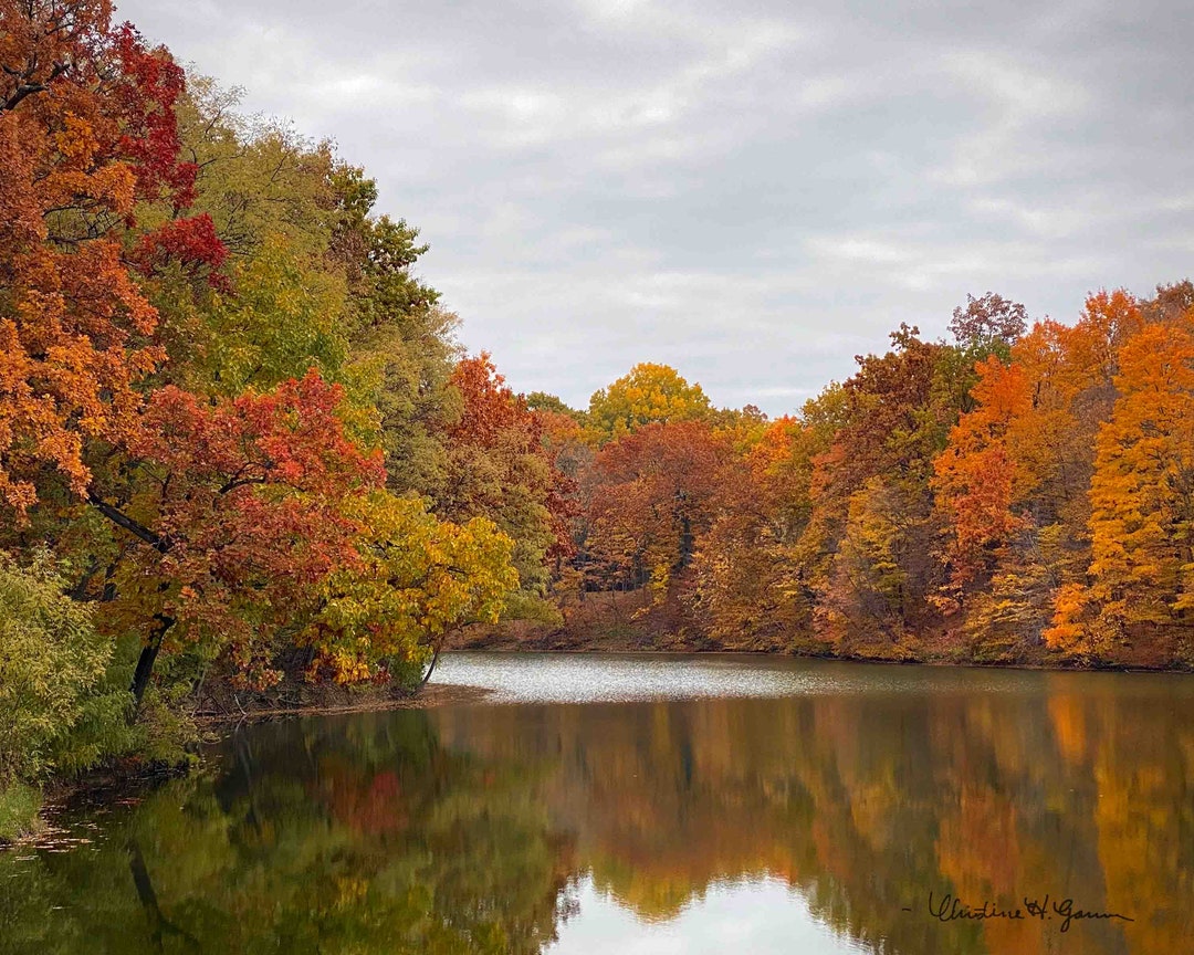 Digital Photo Download: Serene Landscape of Fall Foliage Reflected in ...