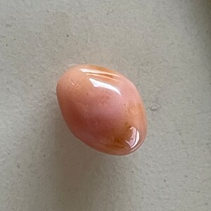 Natural Queen Conch Pearl. Perla De Cobo. Conch Pearl. - Etsy