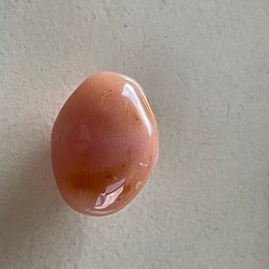 Natural Queen Conch Pearl. Perla De Cobo. Conch Pearl. - Etsy