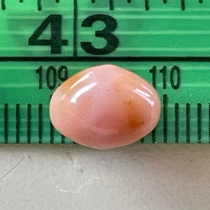 Natural Queen Conch Pearl. Perla De Cobo. Conch Pearl. - Etsy