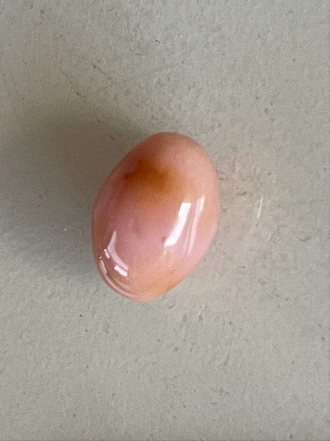 Natural Queen Conch Pearl. Perla De Cobo. Conch Pearl. - Etsy