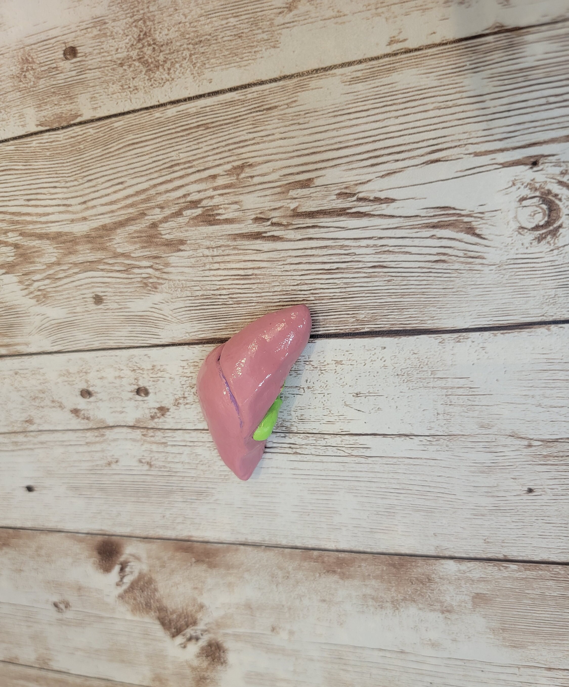 Liver Magnet, Polymer Clay, Pastel Pink and Green, Anatomical Model ...