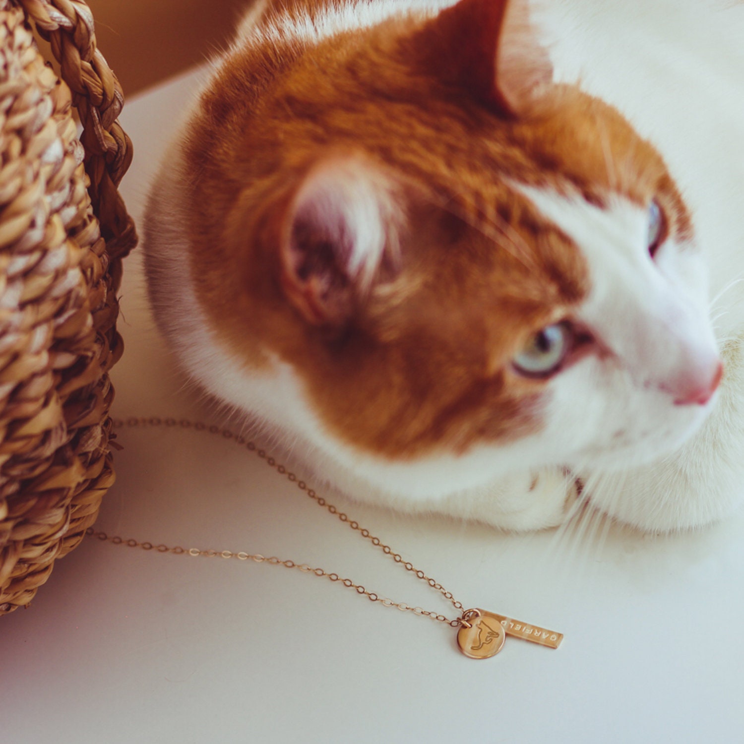 Personalized Cat Necklace Cat Necklace Gold Custom Cat | Etsy