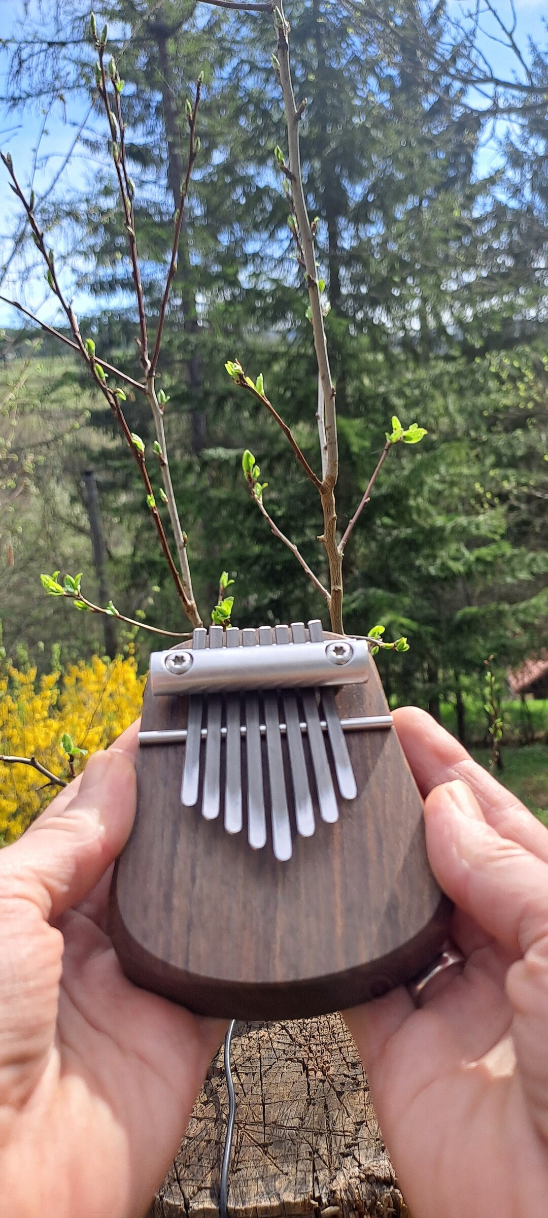 Tiny Mini 8 Tone Kalimba - Special Bminor - by Bolf Kalimbas - Etsy