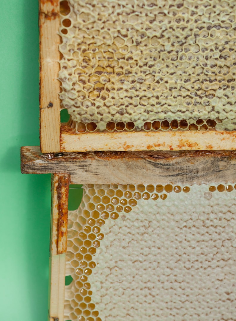 Raw Honeycomb 2024 full Frame 4 Lb 6 Oz Wildflower Honeycomb Pure ...