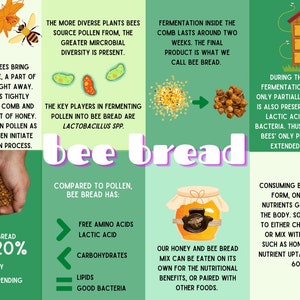 Bee Bread | Natural Bee Product From Lithuania, Fresh, Organic ...