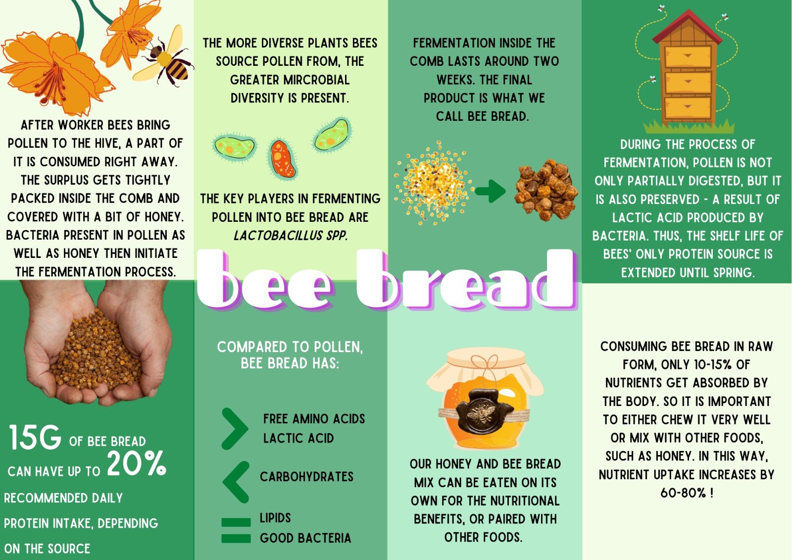 Bee Bread | Natural Bee Product From Lithuania, Fresh, Organic ...