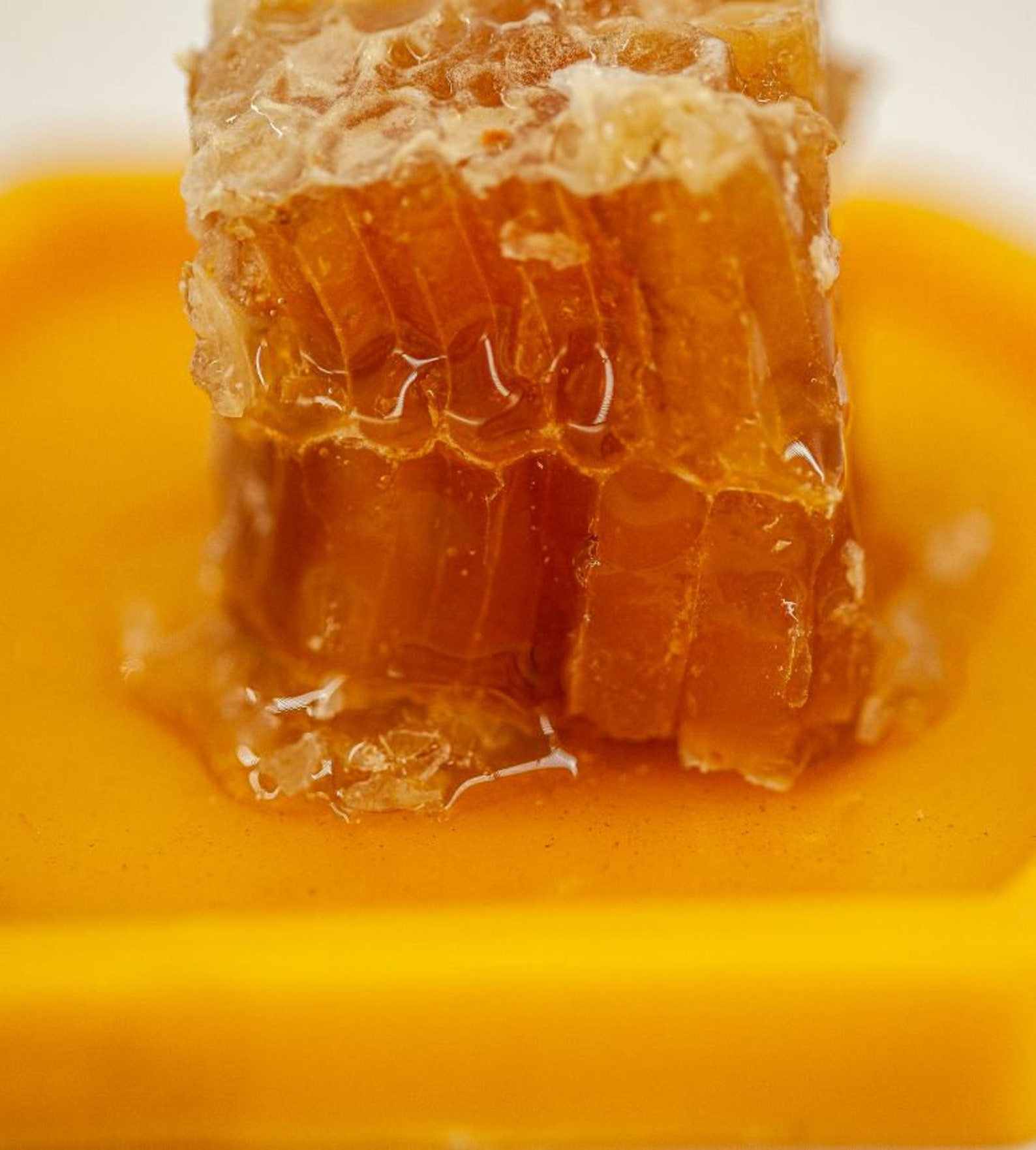 Raw Honeycomb 2024 full Frame 4 Lb 6 Oz Wildflower Honeycomb Pure ...