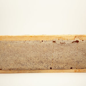 Raw Honeycomb 2024 (full Frame) 4 Lb 6 Oz | Wildflower Honeycomb | Pure ...