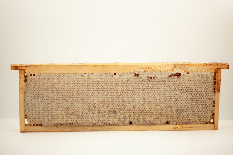 Raw Honeycomb 2024 full Frame 4 Lb 6 Oz Wildflower Honeycomb Pure ...