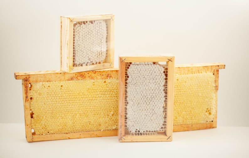 Raw Honey Comb uncut Wildflower Honeycomb Pure Natural Organic Honey ...