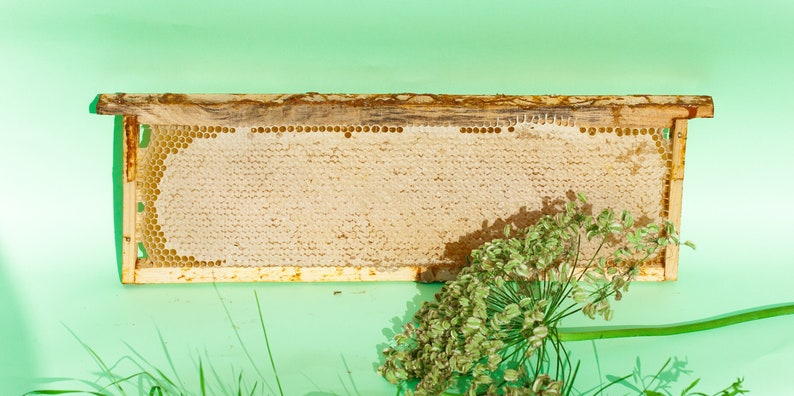 Raw Honeycomb 2024 full Frame 4 Lb 6 Oz Wildflower Honeycomb Pure ...