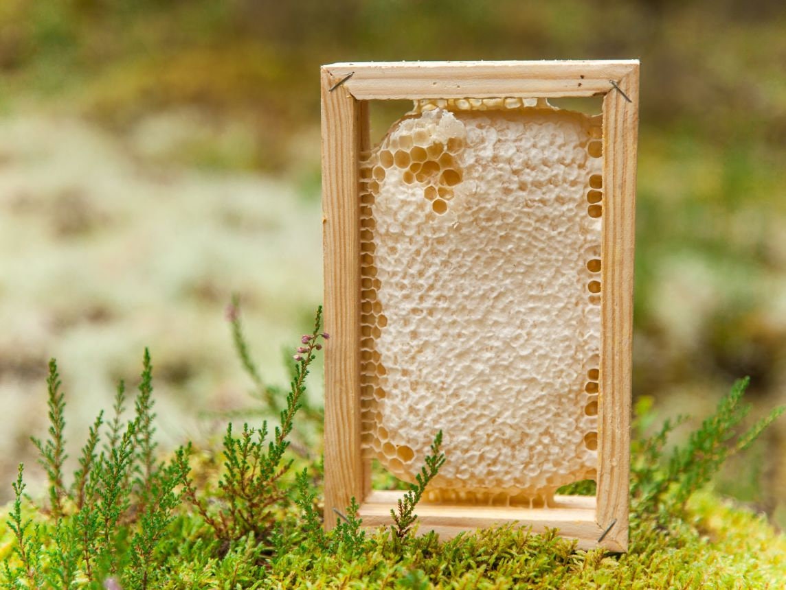 Raw Honey Comb uncut Wildflower Honeycomb Pure Natural Organic Honey ...