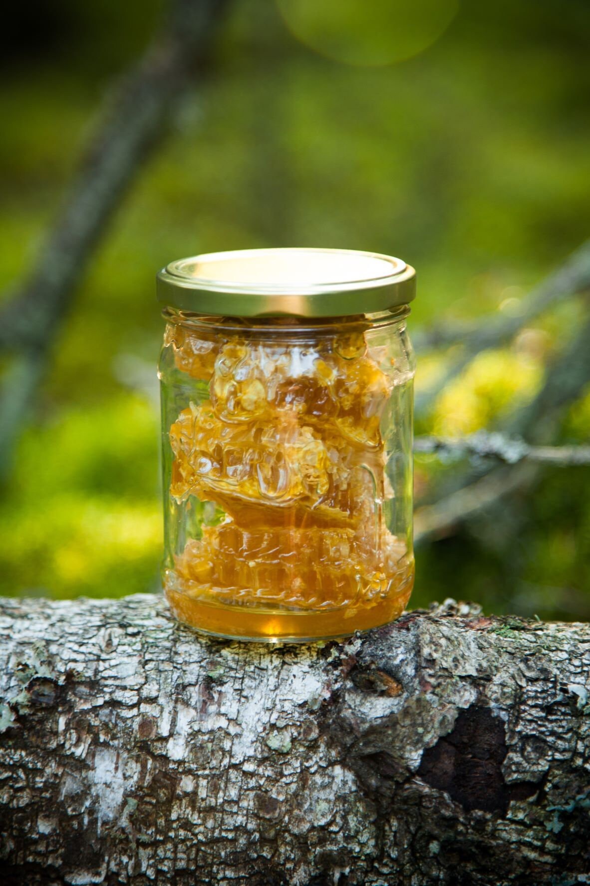 Raw Honeycomb Small Size Wildflower Honeycomb Pure Natural Organic ...