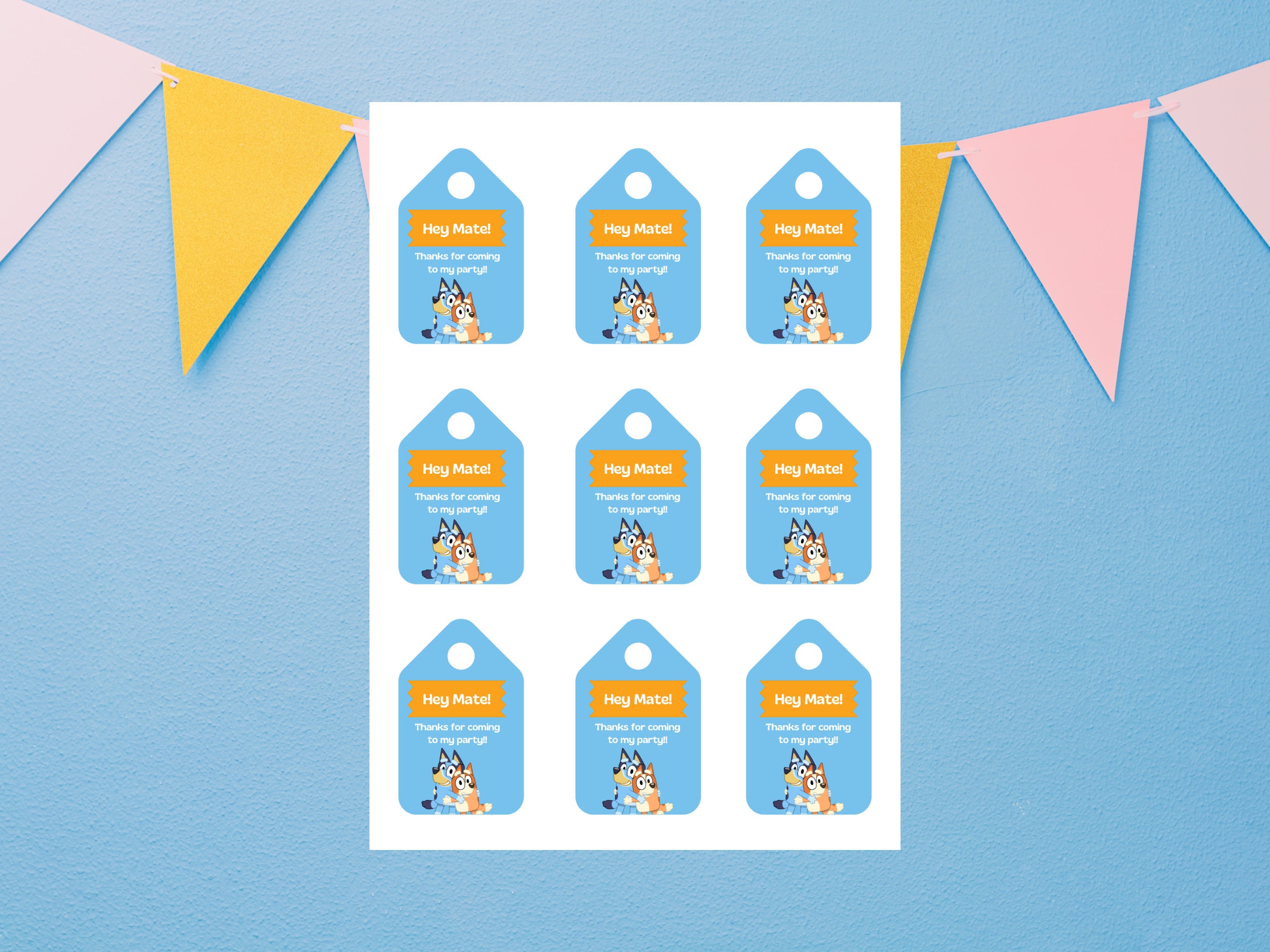 Bluey Birthday Tags - Etsy
