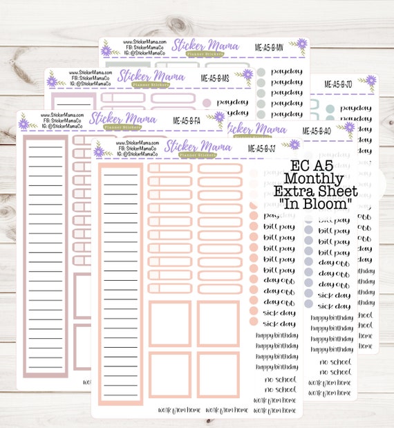 NEW ERIN CONDREN Colors A5 in Bloom Monthly Extra Sheet - Etsy