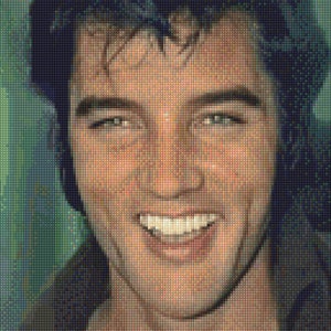 Elvis Presley Portrait Cross Stitch Pattern PDF - Instant Download! - Etsy