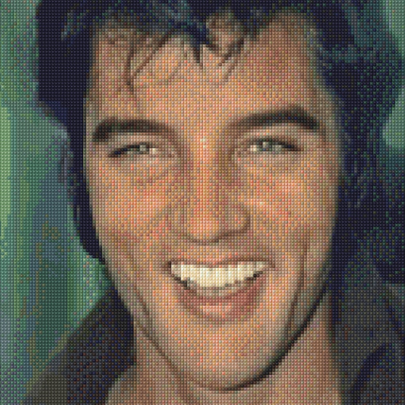 Elvis Needlepoint Kit - Etsy UK