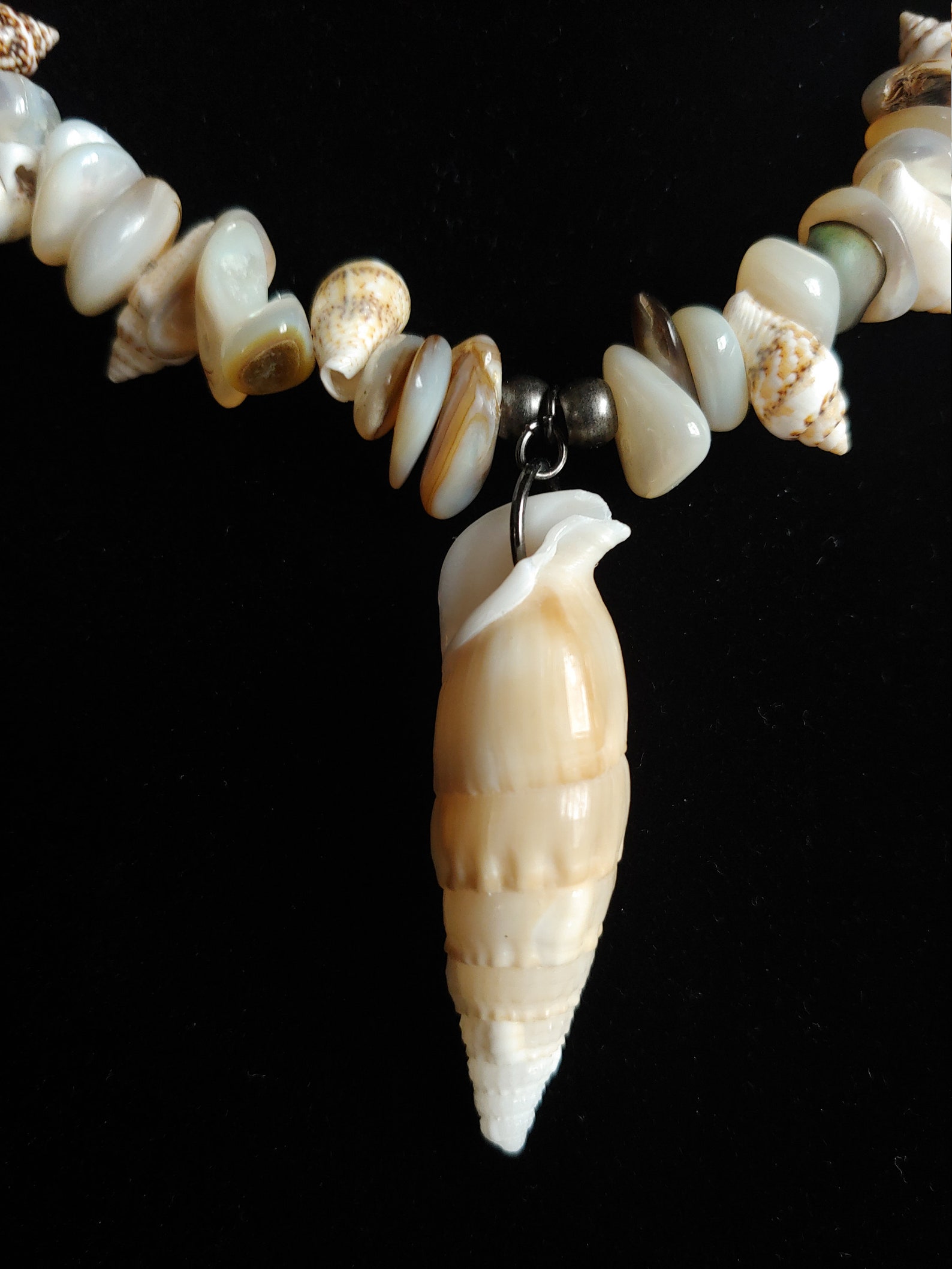 Gold Lip Shell and Nassa Shell With Japanese Shell Focal - Etsy