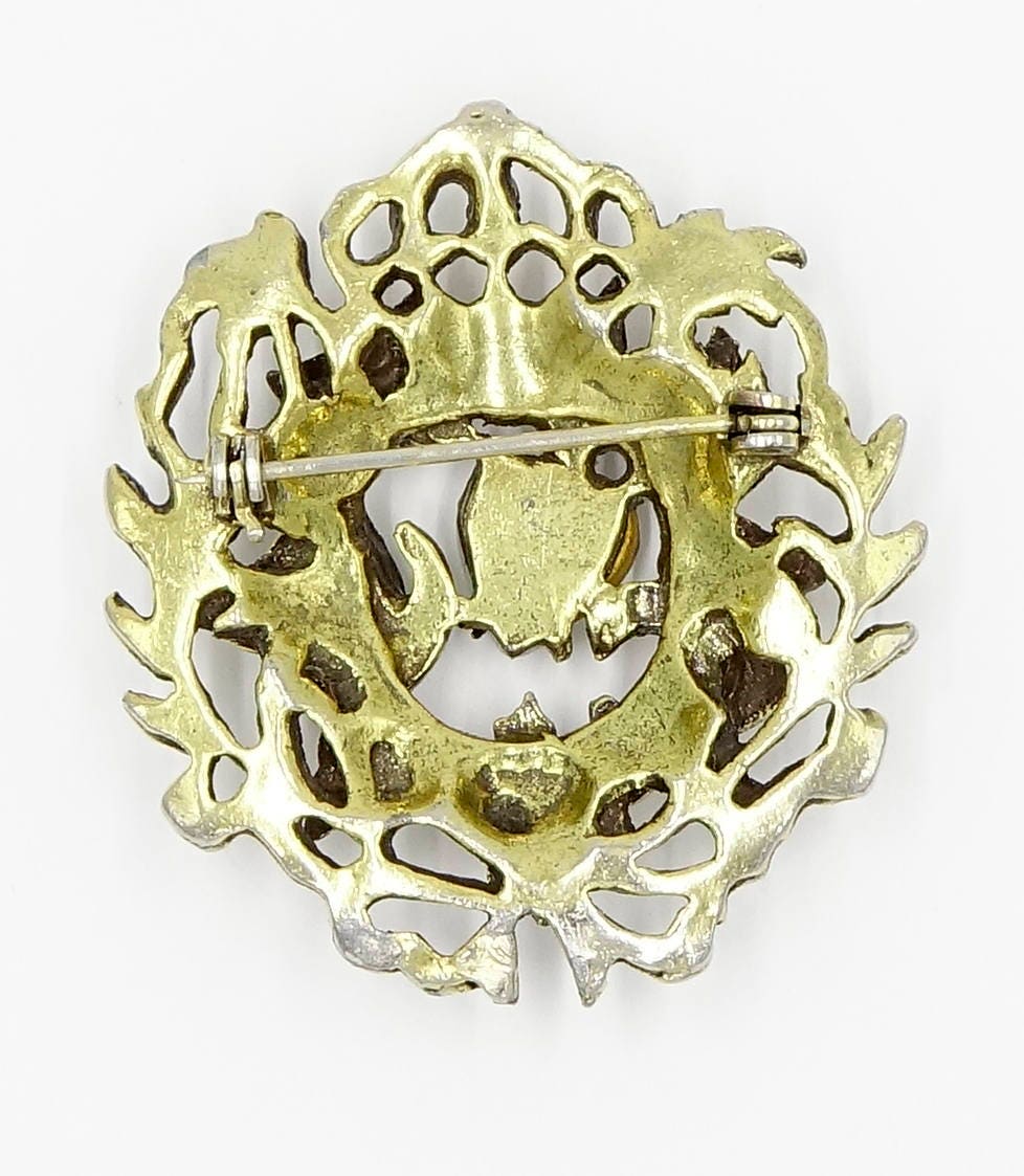 Unusual Vintage Heraldic Pin With Rhinestones and Faux Seed | Etsy