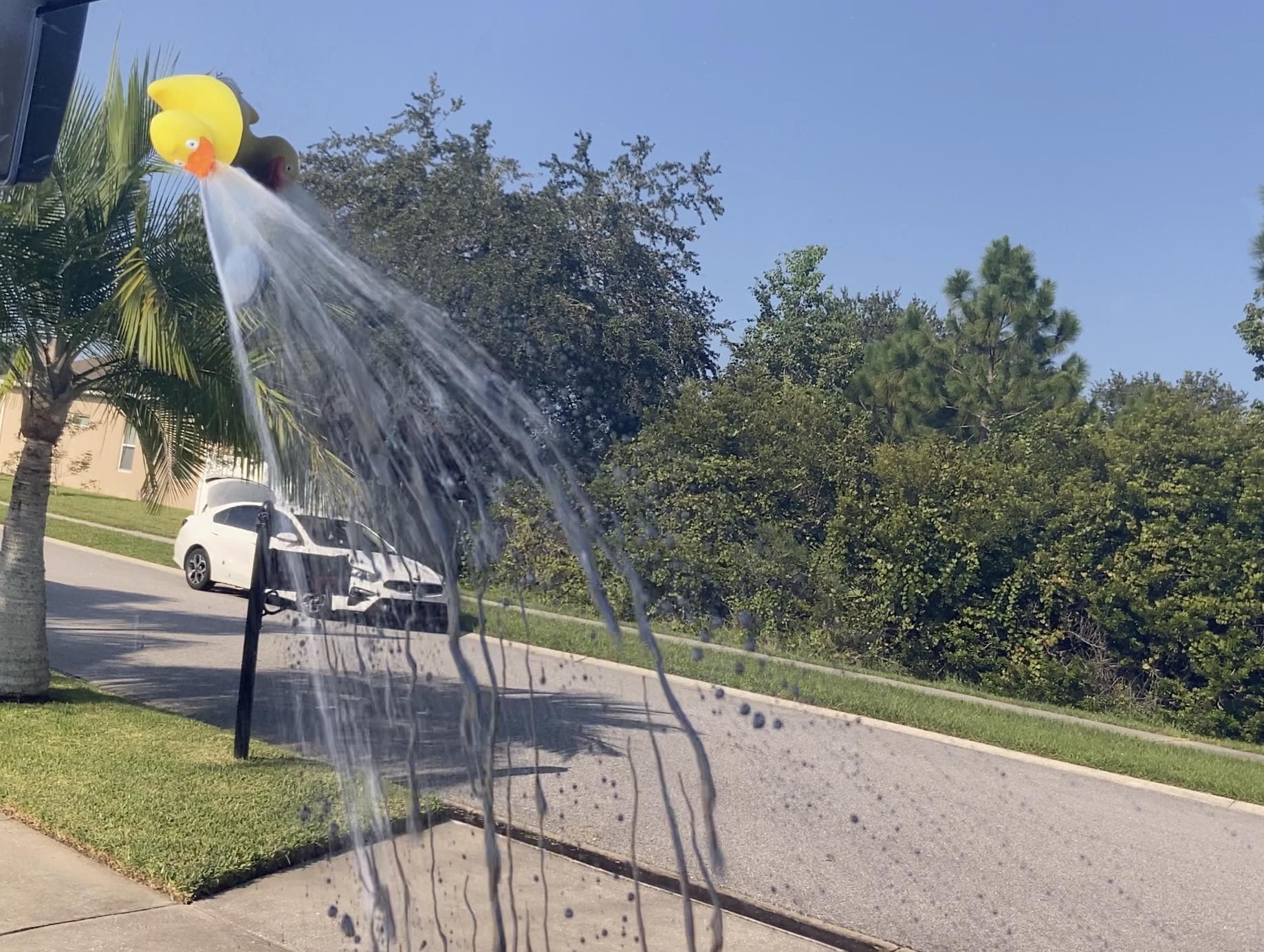 Duck Rear Windshield Washer Nozzle - Etsy