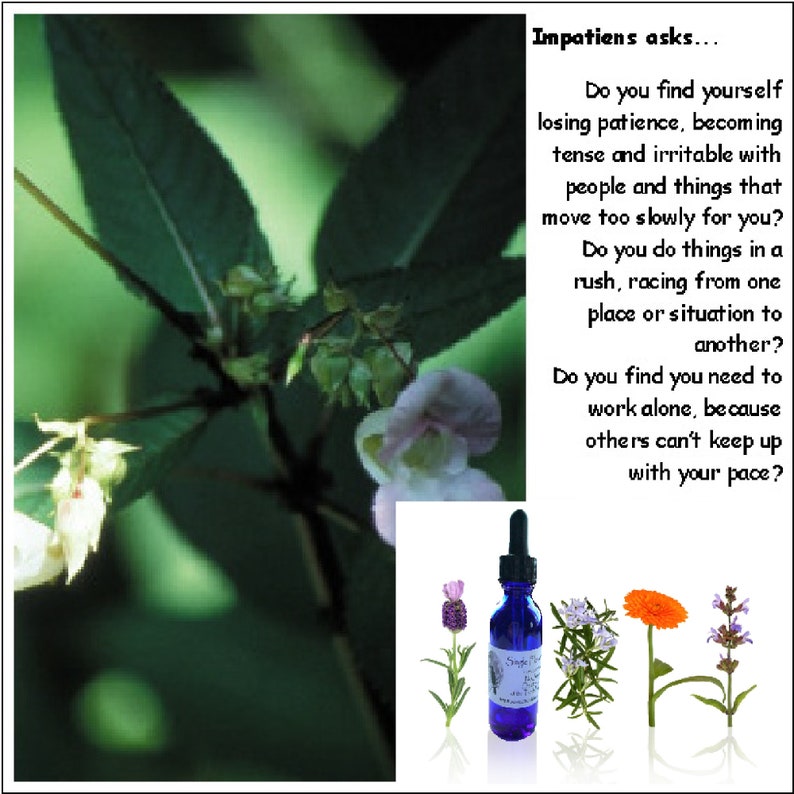 IMPATIENS instills patience, acceptance flowing with the pace of life ...