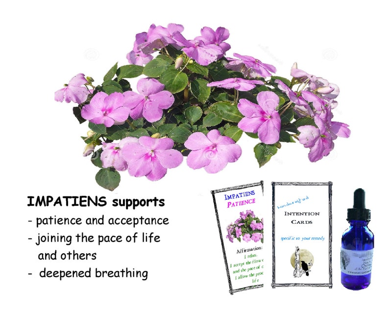 IMPATIENS instills patience, acceptance flowing with the pace of life ...