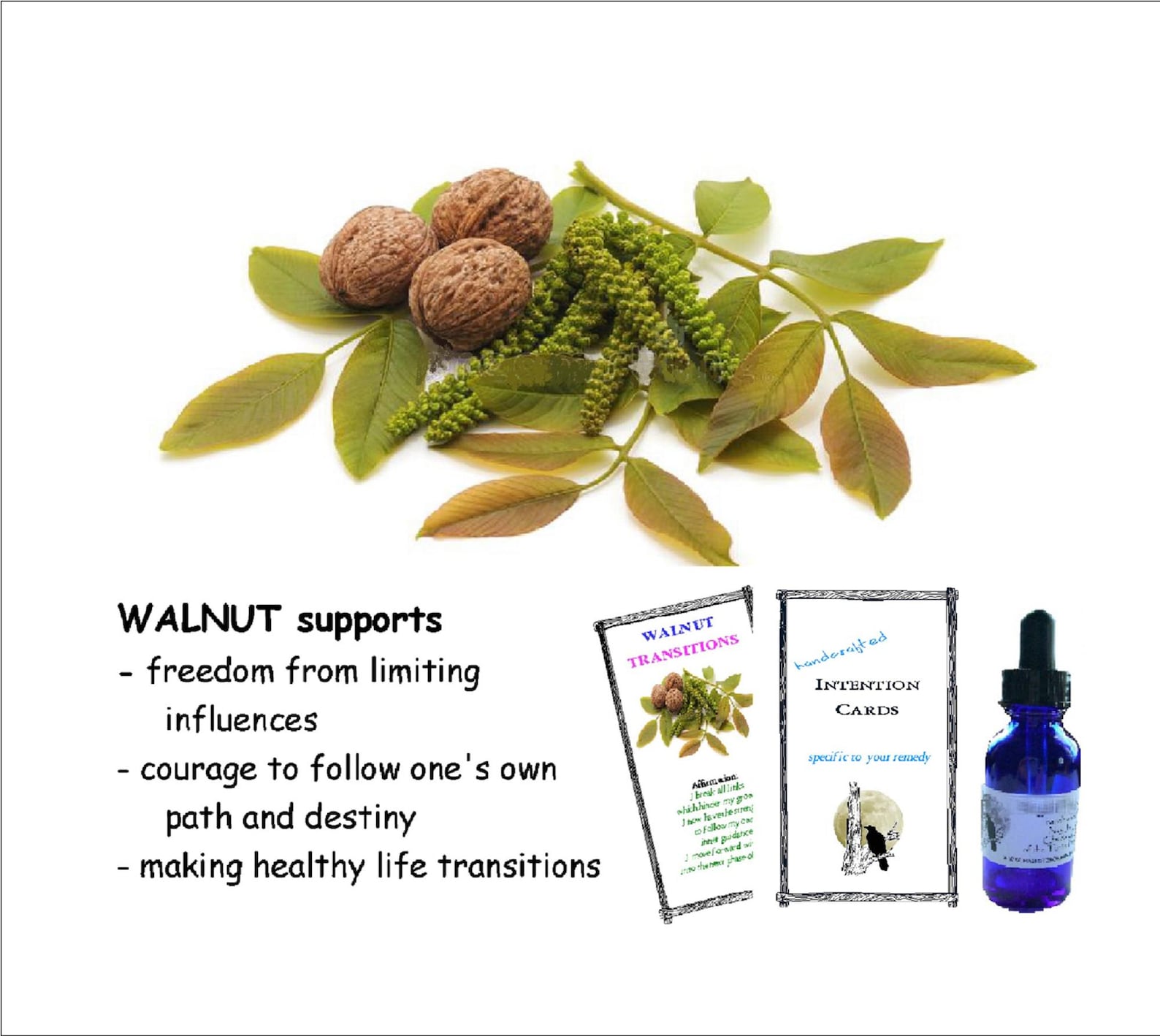 WALNUT Flower Essence: Transitions, Courage, and Healthy Change; 1 Fl ...