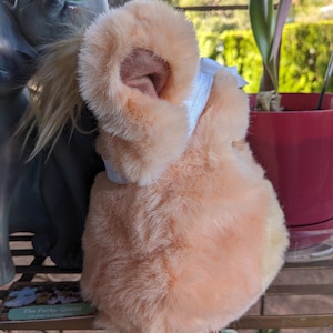 Adopt a Furby mango 2005 Hasbro Tiger Electronics Mango Emoto-tronic ...