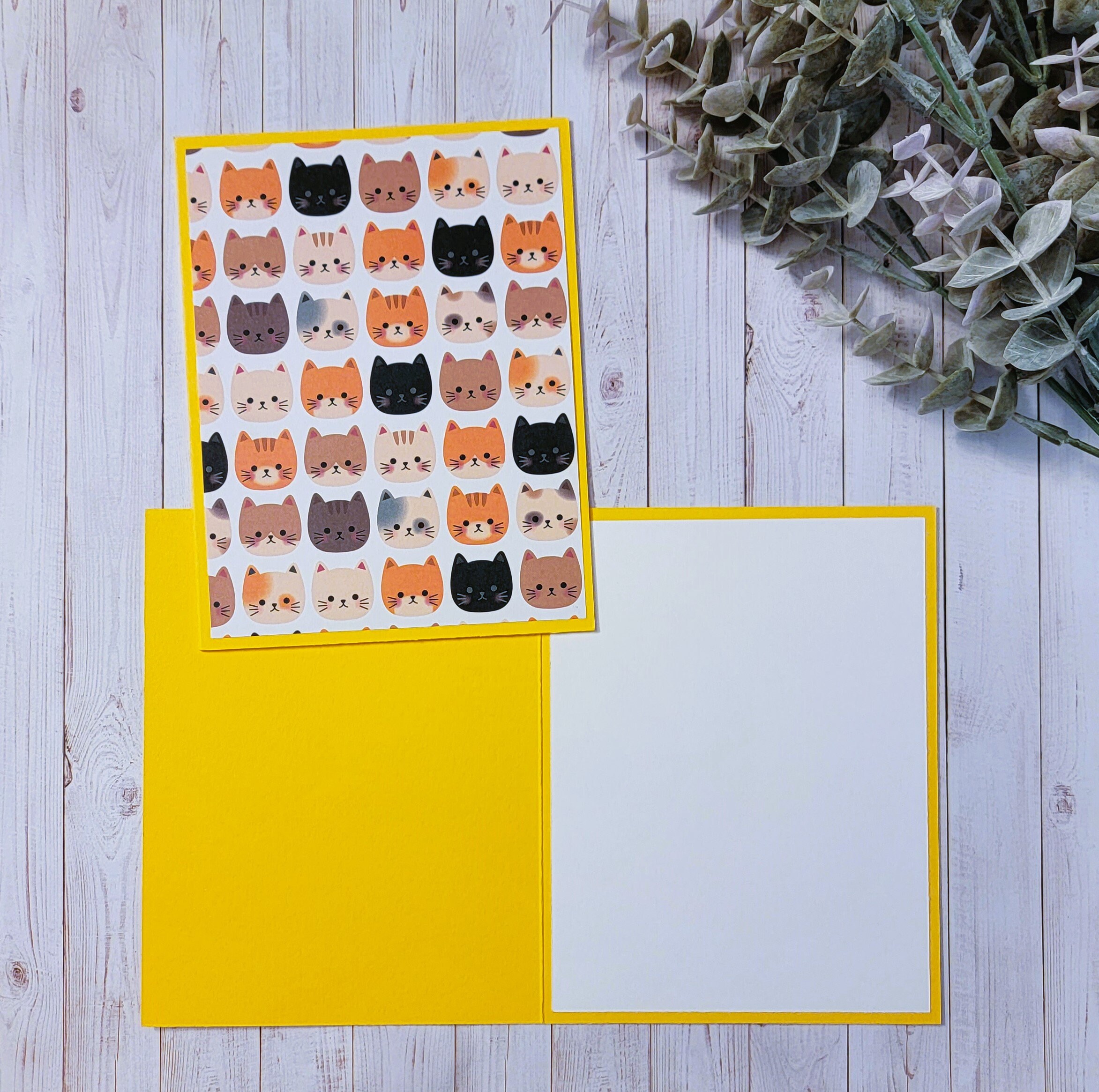 Cat Note Card Set Pet Note Cards Gifts for Cat Lovers - Etsy