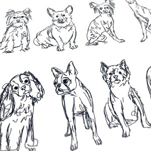 Small Breeds 100% Proceeds to Displaced Animals Dogs - Etsy