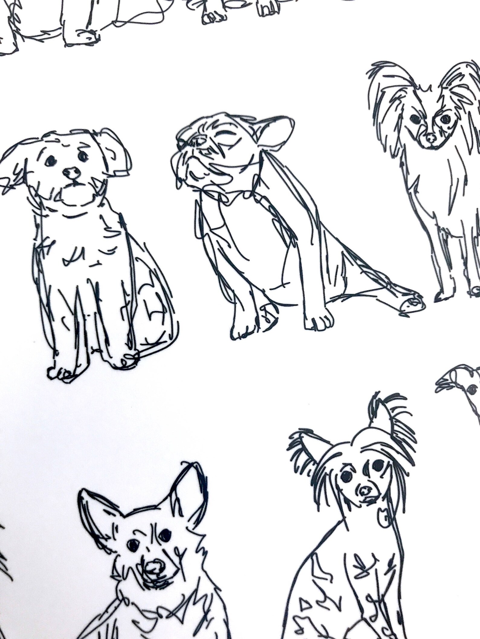 Small Breeds 100% Proceeds to Displaced Animals Dogs | Etsy