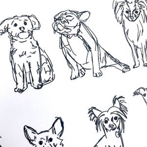 Small Breeds 100% Proceeds to Displaced Animals Dogs - Etsy